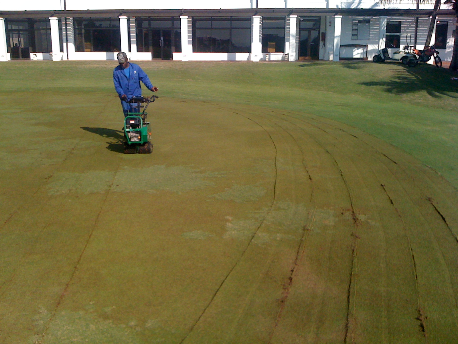 Durban Country Club Golf Course: The Old DCC paspalum greens vs. The ...
