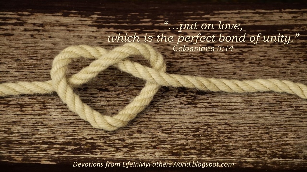 Life In My Father's World: Love, Forgiveness, and the Bond of Unity