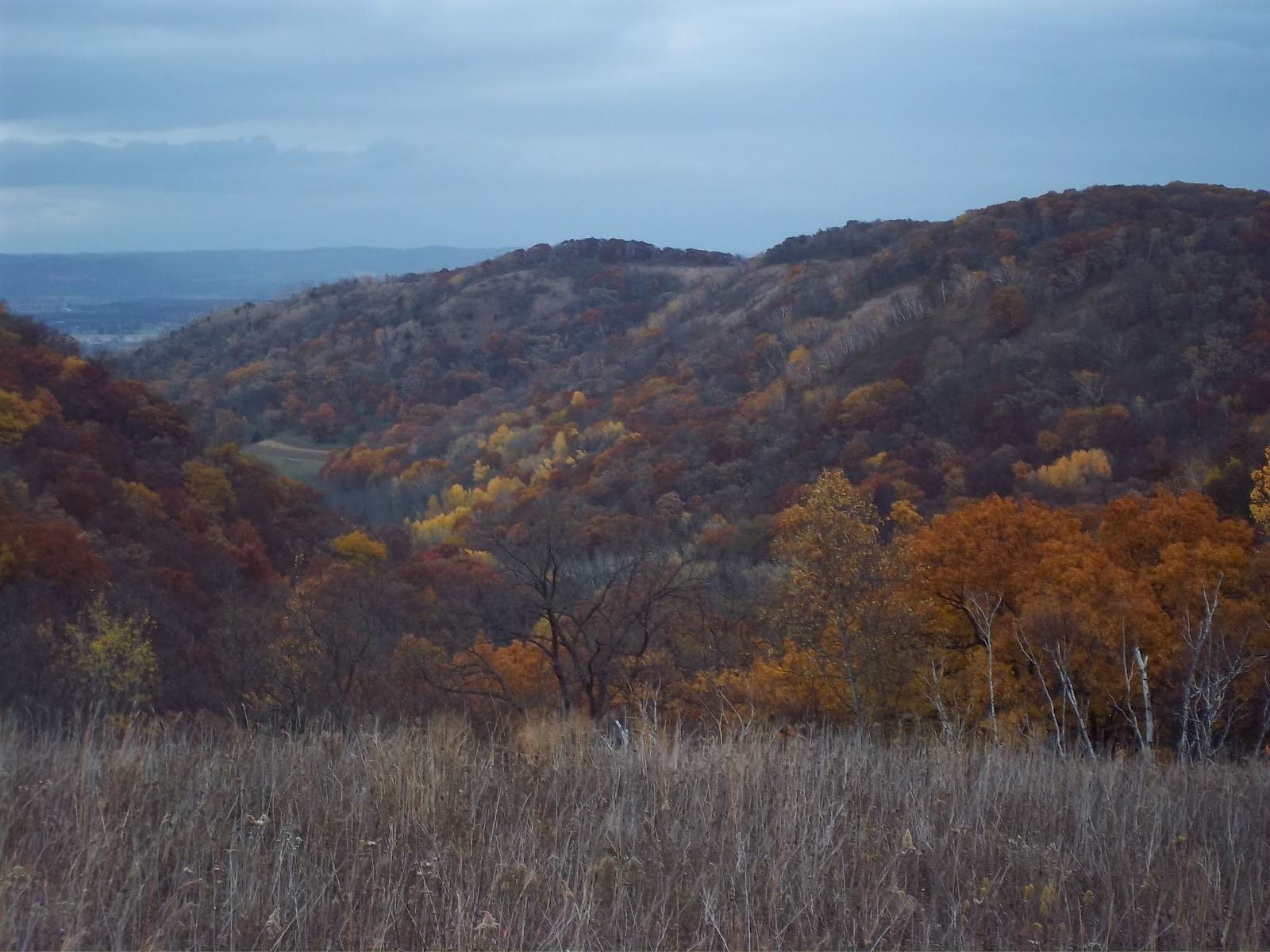 Travels with Rocky the Dog: Whitewater State Park and the Root River Valley