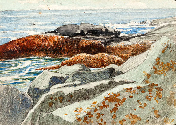 The Art of Bruce: Sea Spray Gull Cove