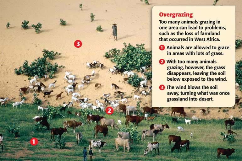 Expedition Earth: Sahel