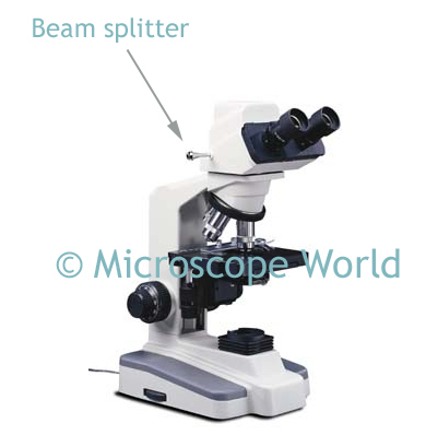Microscope World Blog: Biological Microscope Viewing Trouble Shooting
