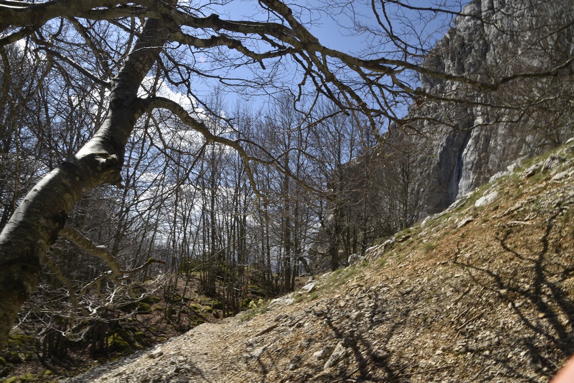 Mendiko osterak: Arnaba zirkularra Gastiain herritik