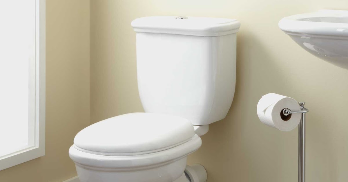 Squat Toilet, European style toilet, is it healthy?