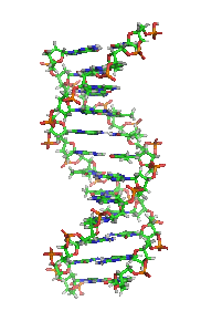 INTRODUCCION AL ESTUDIO DE LA BIOQUIMICA: GENERALIDADES DE LA BIOQUIMICA