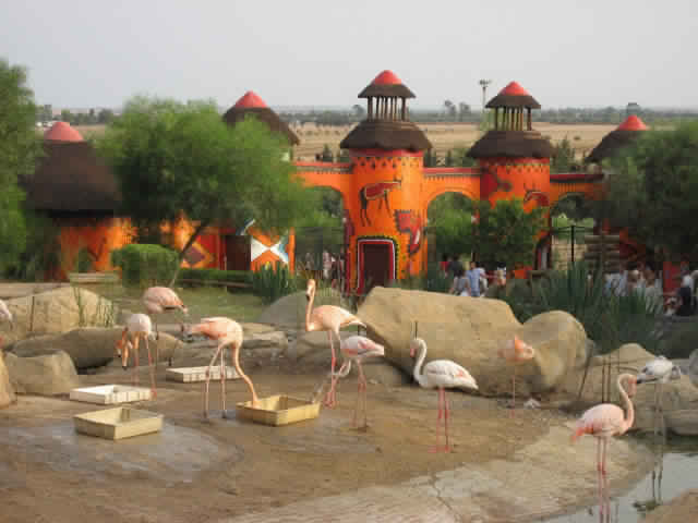 Le Parc Zoologique Friguia Sousse un voyage dans le temp et dans la ...