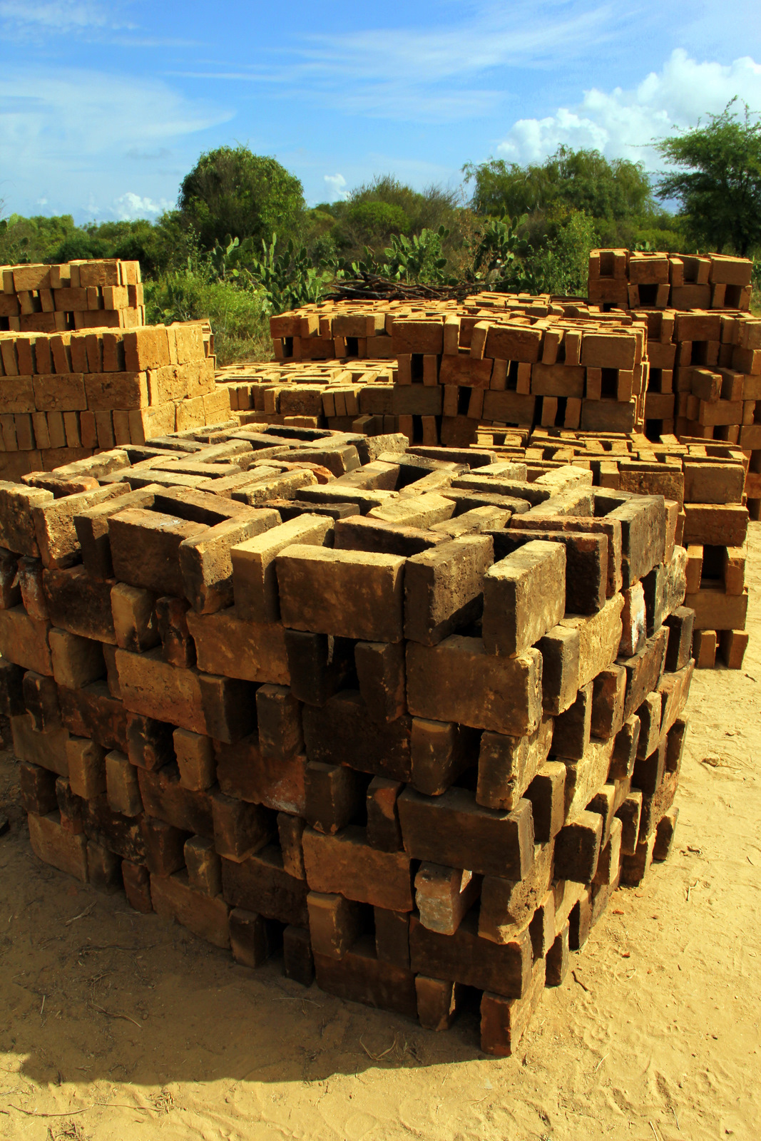 All The Live Long Day: Madagascar Honeymoon, Post #7: 21 to 27 April 2011