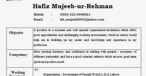 Resume Format for Job in Pakistan Free Download