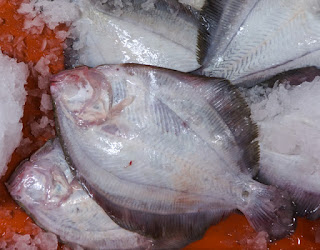 Through the Gaps! - Newlyn Fishing News: "A fish-frail of stout" on ...