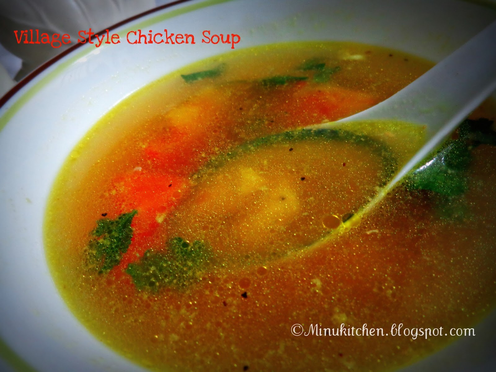 Village Style Chicken Soup ~ Minu's Kitchen
