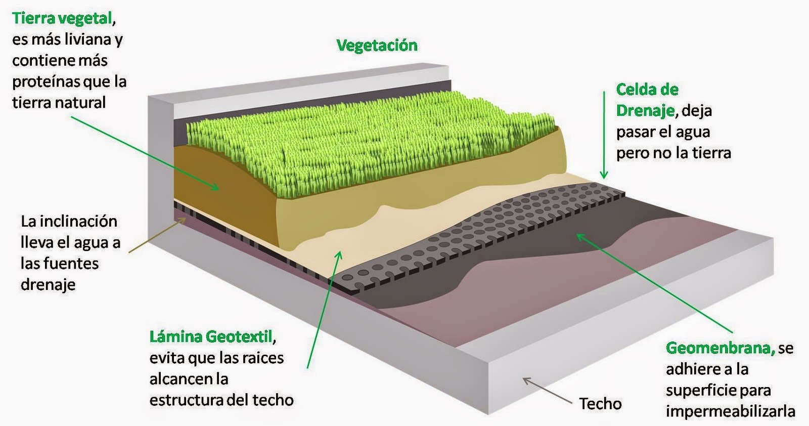 Bioconstrucción: Construcción para la vida.: Techos verdes