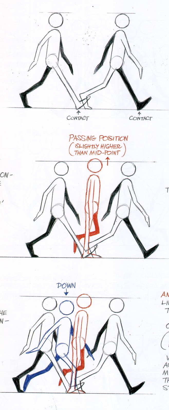 DLSY9mediastudies: Walk Cycle