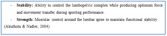 Core Stability for Gymnastics: Core Stability for Gymnastics