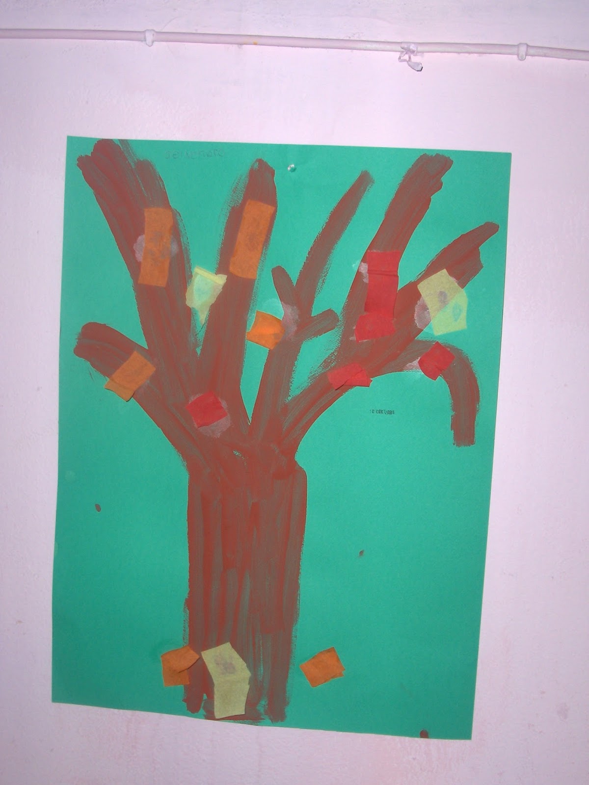 2ο ΟΛΟΗΜΕΡΟ ΝΗΠΙΑΓΩΓΕΙΟ ΣΑΠΩΝ: ΦΘΙΝΟΠΩΡΙΝΑ ΔΕΝΤΡΑΚΙΑ