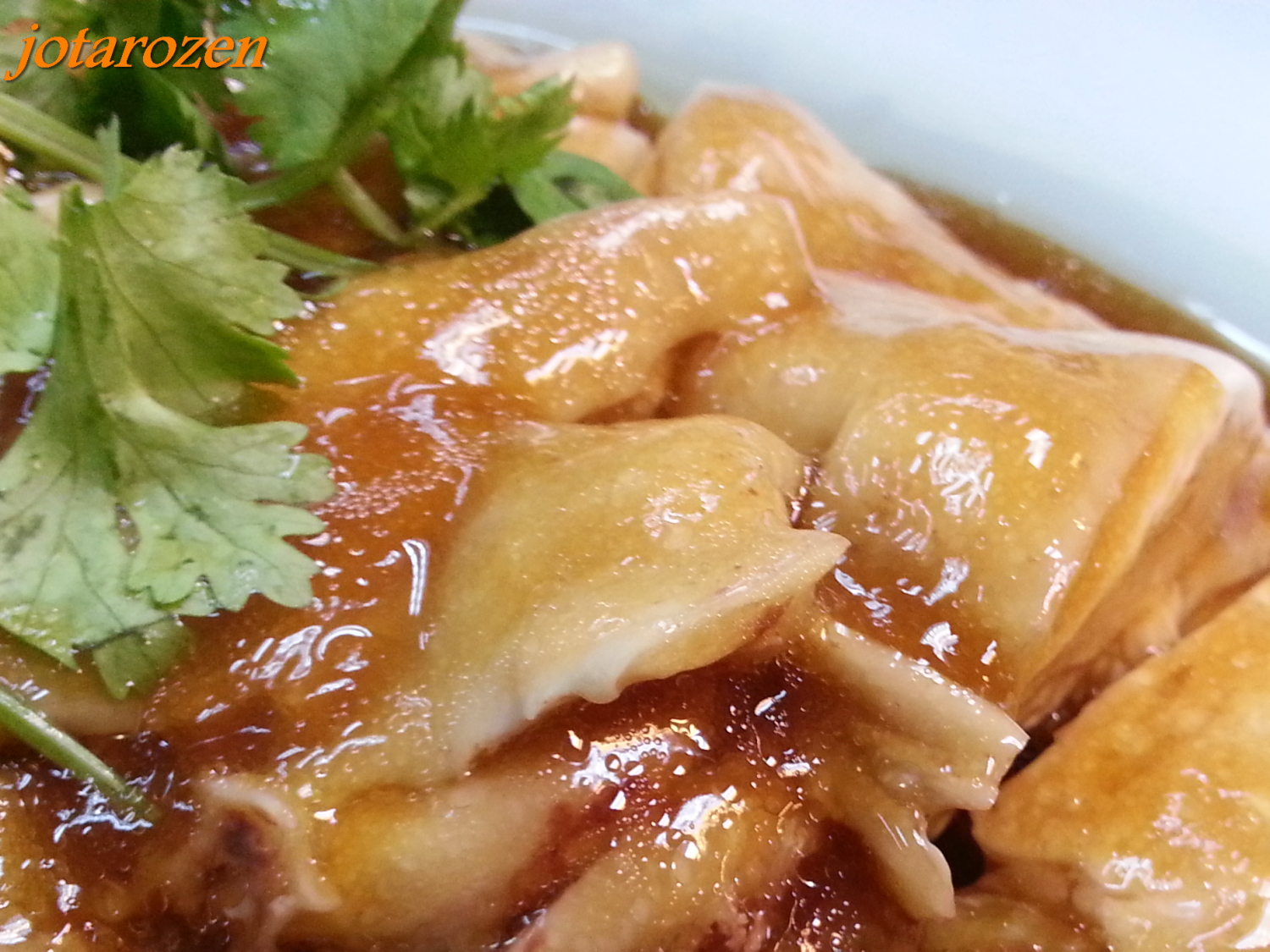 Footsteps - Jotaro's Travels: YummY! - Ipoh Hor Fun & Hainanese Chicken ...