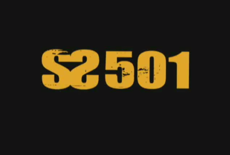 MuSiCa CoReAnA (K-pop) :p: SS501 (cantantes k-pop)