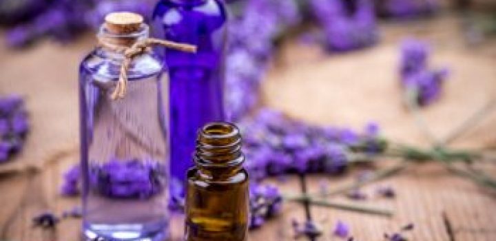 Beberapa Tips Memakai Minyak Lavender Untuk Kesehatan Dan Kecantikan ...