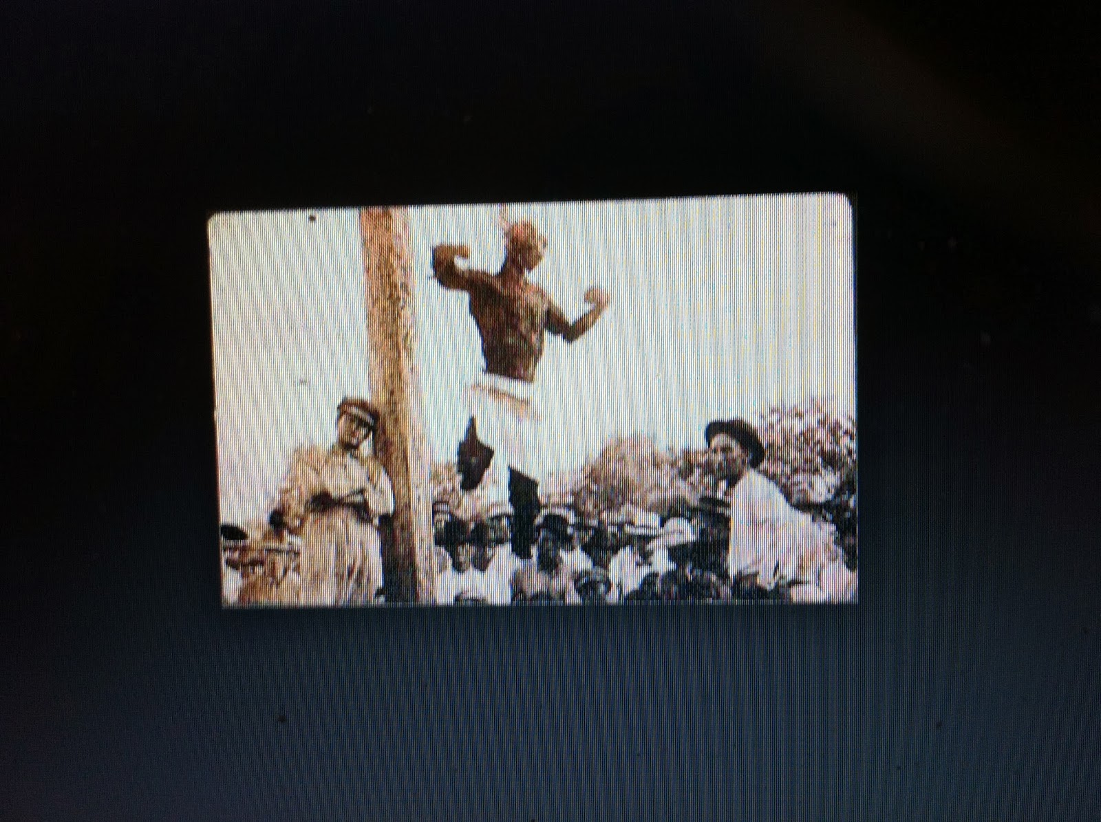 THE BLACK SOCIAL HISTORY:: BLACK SOCIAL HISTORY : " THE ROSEWOOD ...