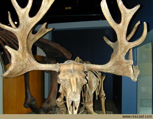 Escenarios prehistóricos: 12/23/11