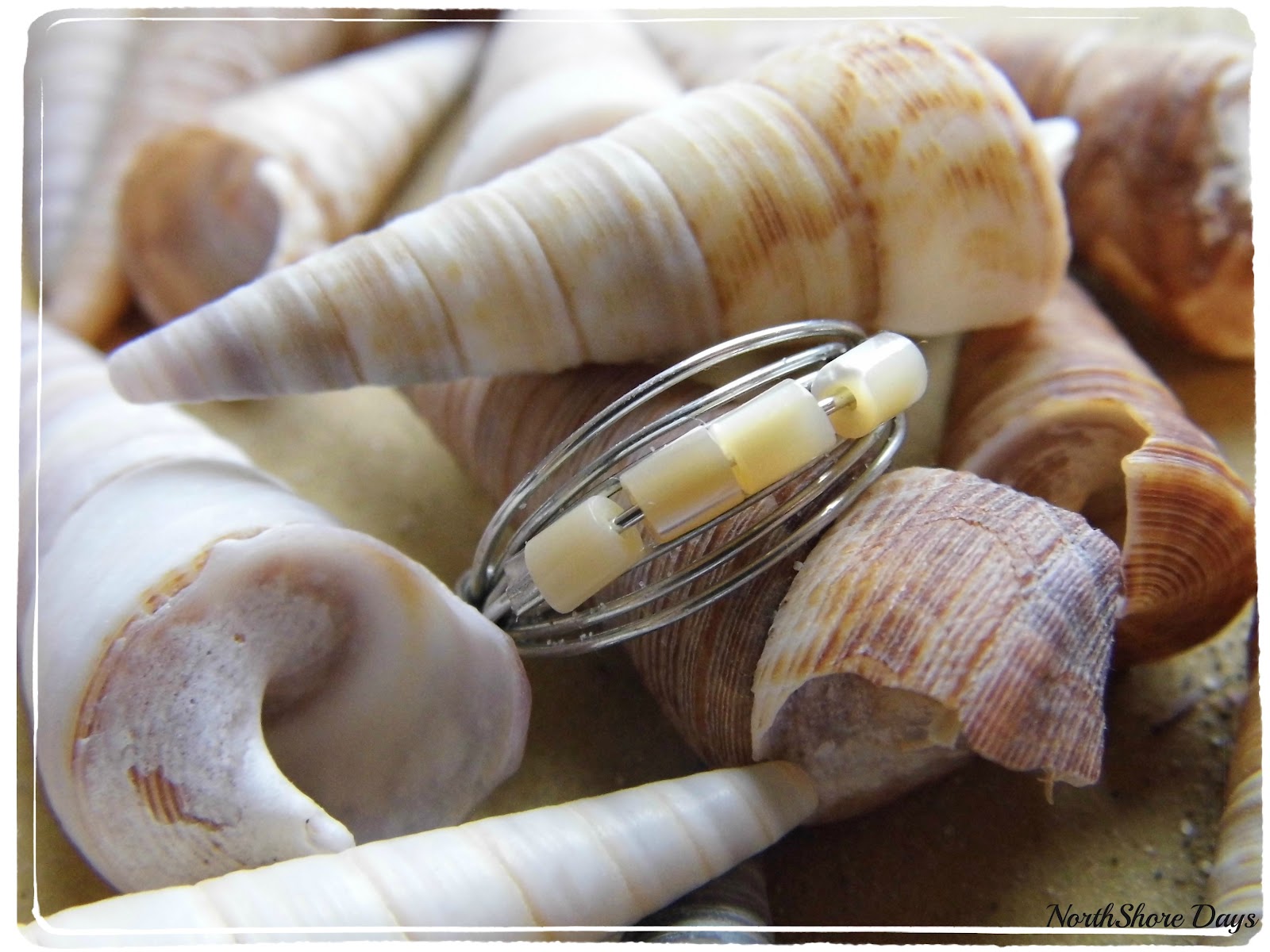 NorthShore Days.....: Ocean Shell Ring