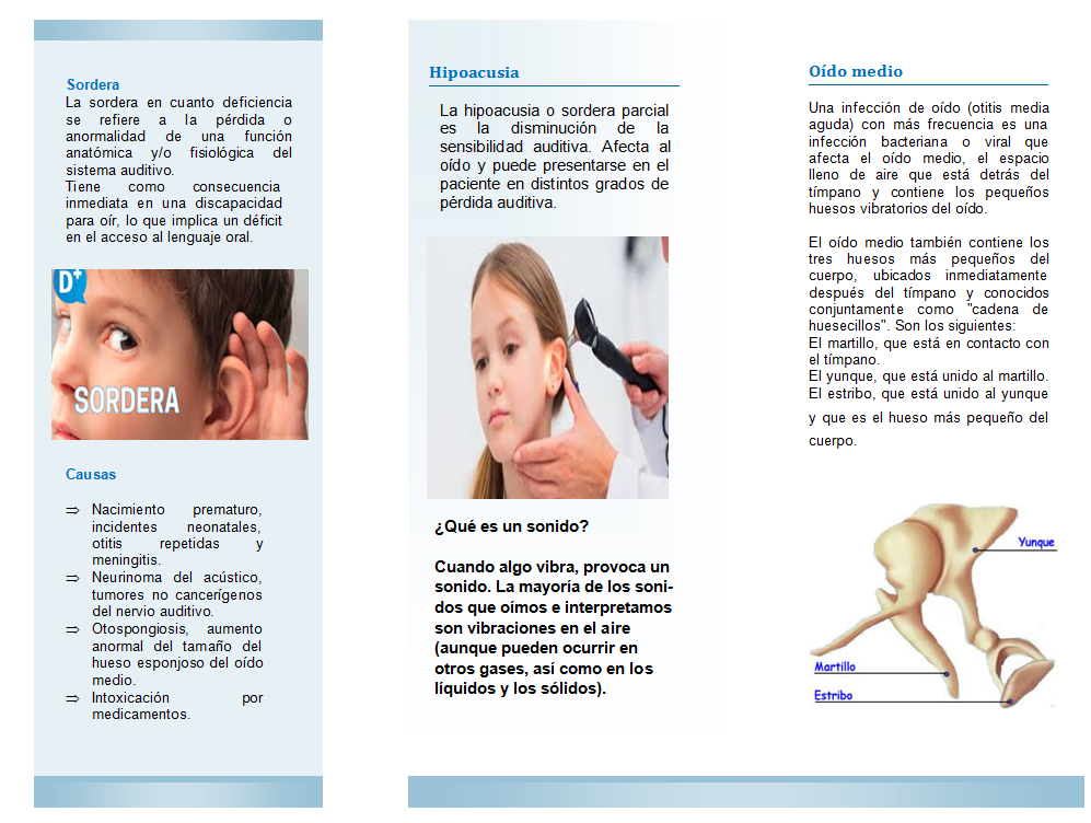 ATENCIONEDUCATIVAADISCAPACIDADAUDITIVA: Triptico: El oído y La Sordera