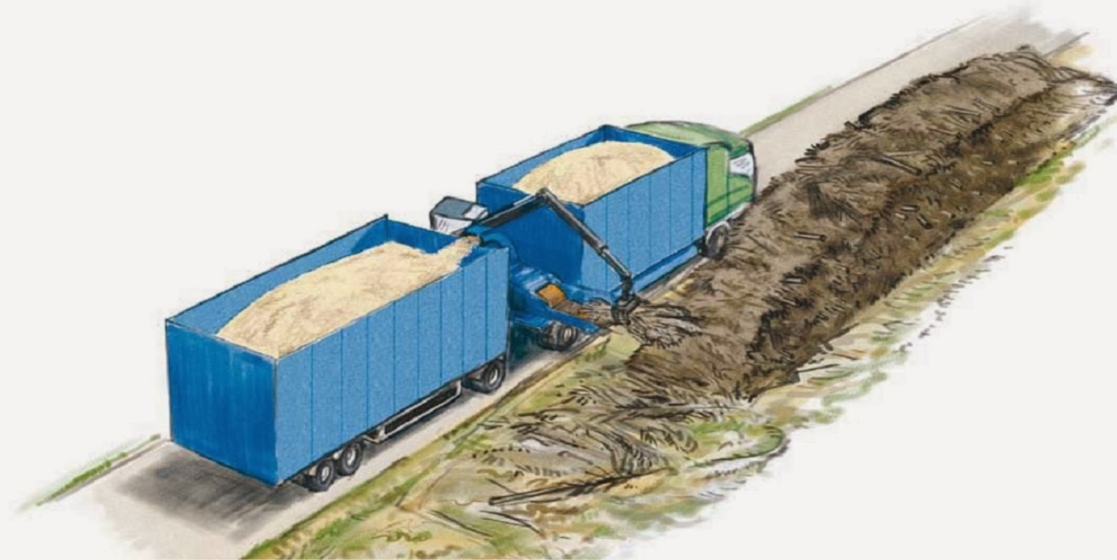 Biomass Industrial Innovative Projects: Scenarios of Forest Waste ...