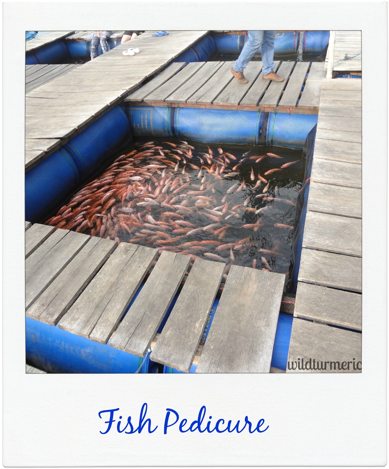 4 Top Benefits & Side Effects Of Fish Pedicure | Fish Spa | Garra Rufa ...