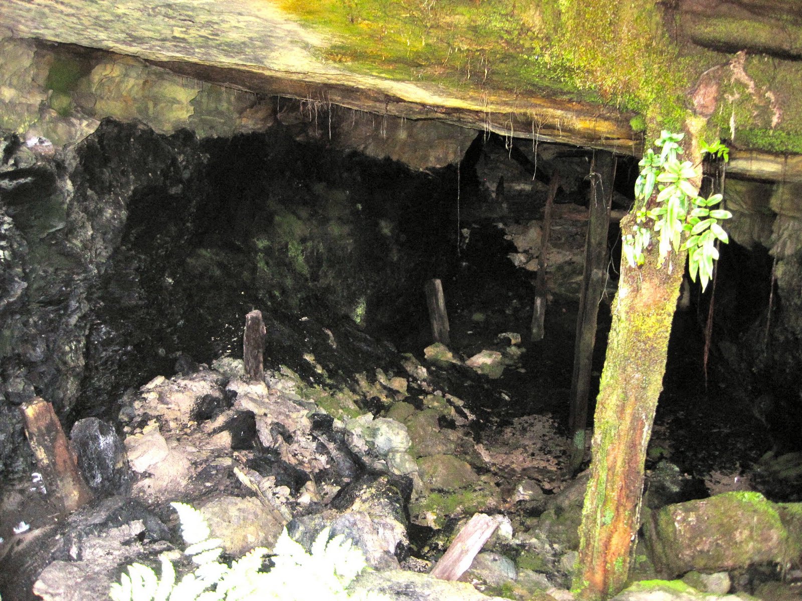 Carolyn in Aotearoa: The Mines of Millerton (Yes, Millerton, not Moria)