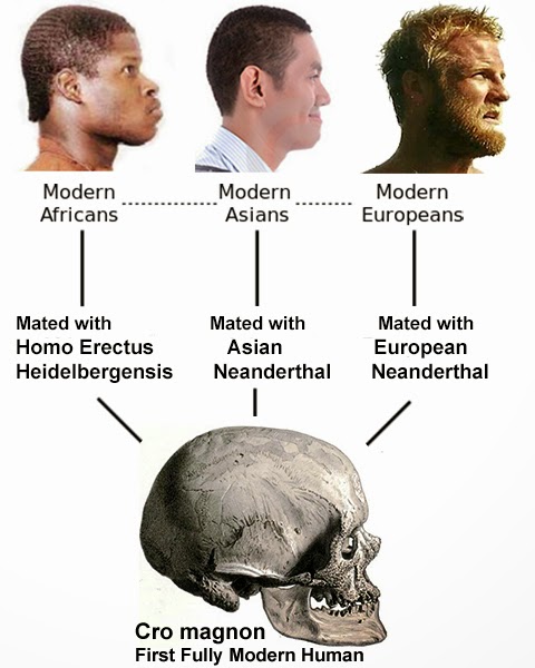 ATLANTEAN GARDENS: Modern Humans are a Hybrid Species - ROBERT SEPEHR