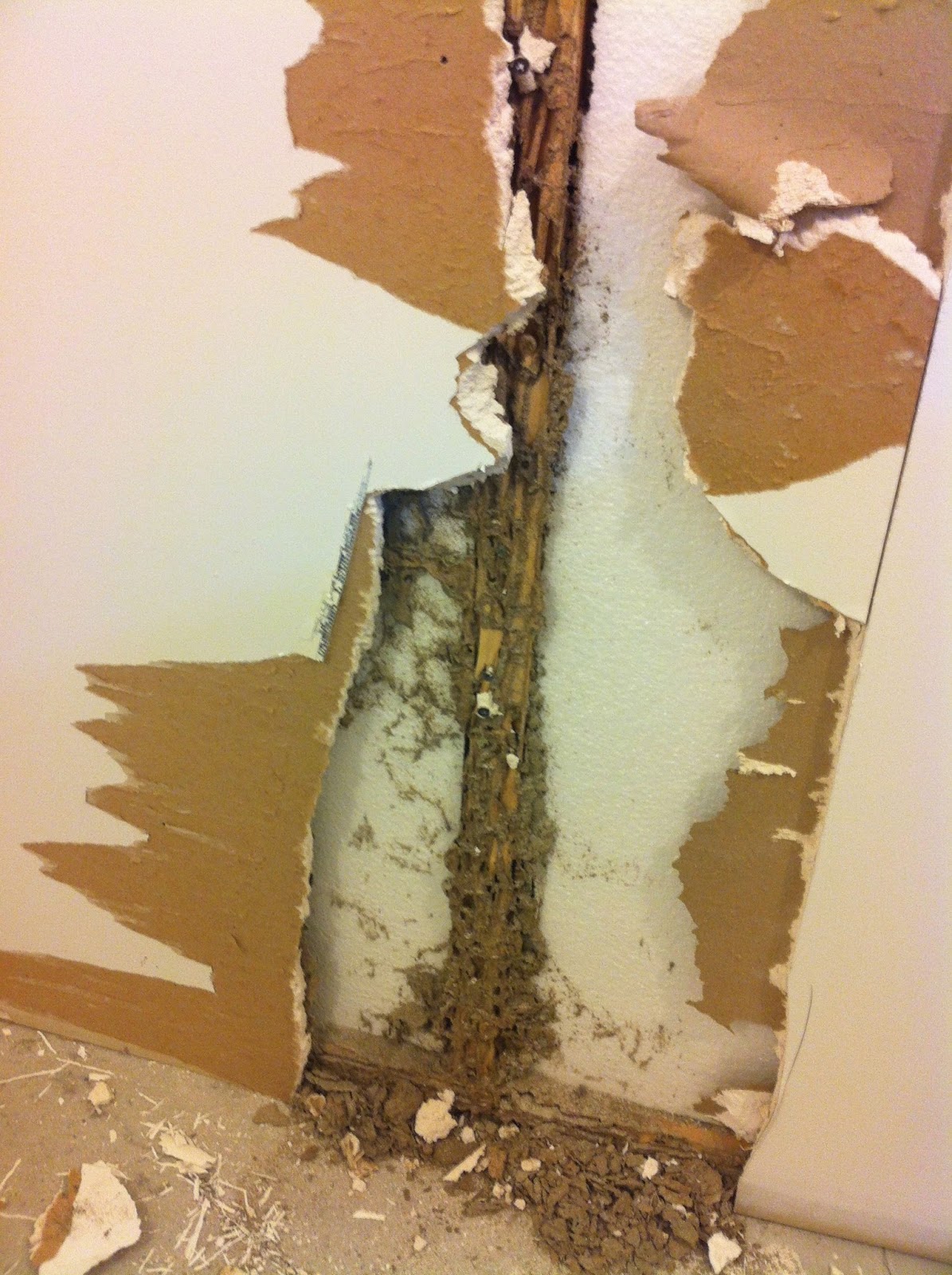 Shawn's Home Projects: Wall Destruction