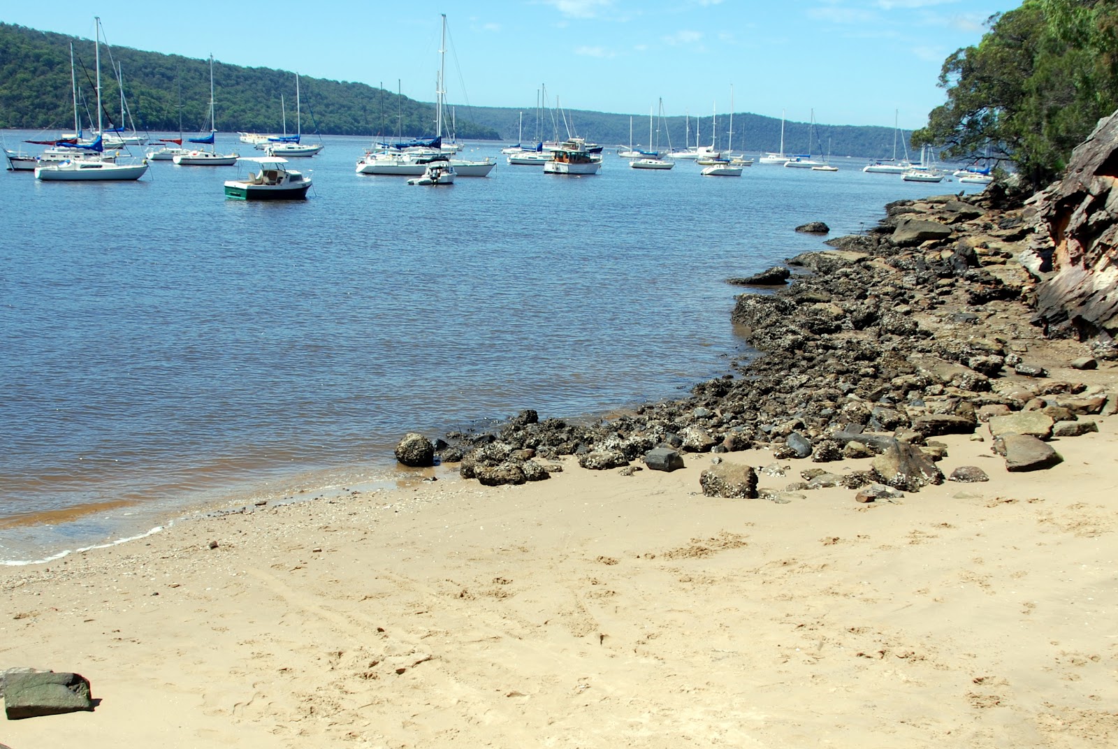 Blog of Adventure: Brooklyn NSW