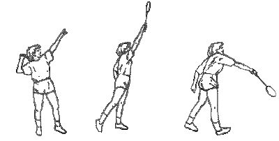 Skill Development and Biomechanics: 2015