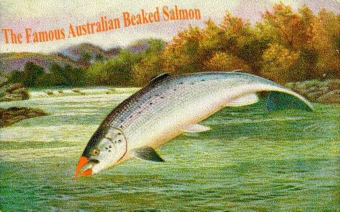 From Machu Picchu to Darkest Africa at RGSSA: March 2012