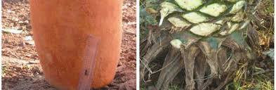 यात्रा जिंदगी की Journey of life