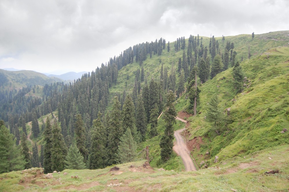 Muhammad Hatif Kashmiri: Tolipeer, Rawlakot Azad Kashmir Muhammad Hatif Kashmiri: Tolipeer, Rawlakot Azad Kashmir