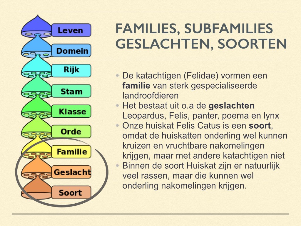 Ordening en Evolutie: Ordening