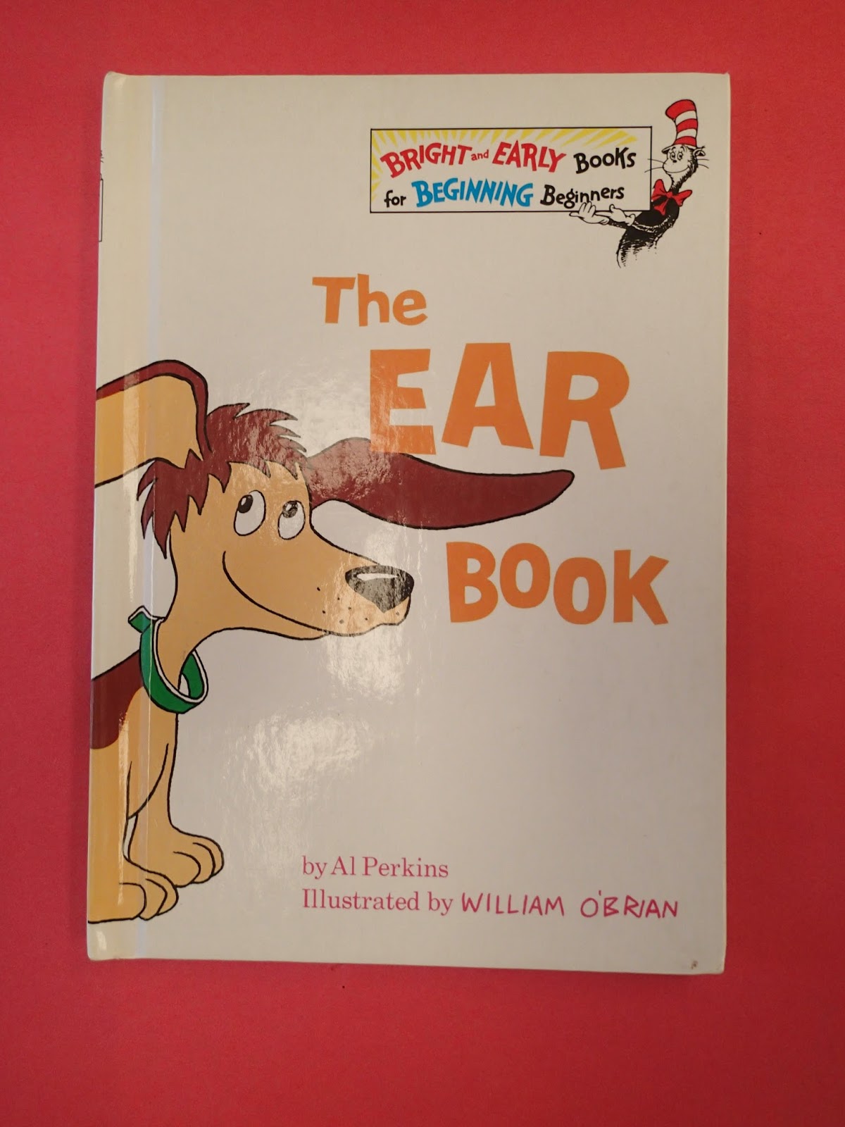 1 Day at Home: Sense of Hearing