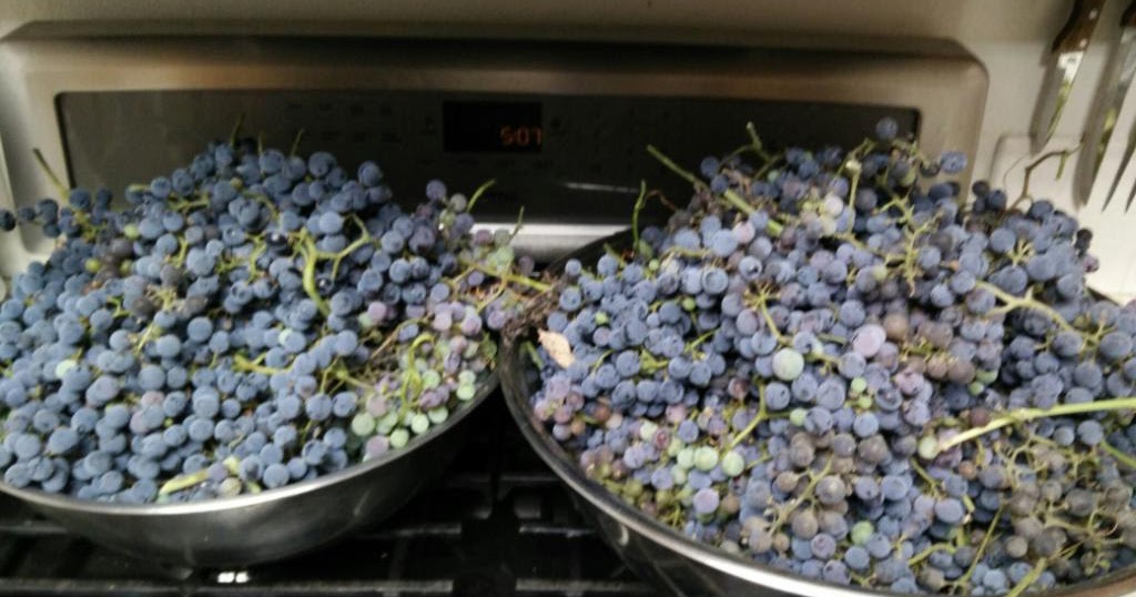 My Country Apron: Roger Red Grape Juice