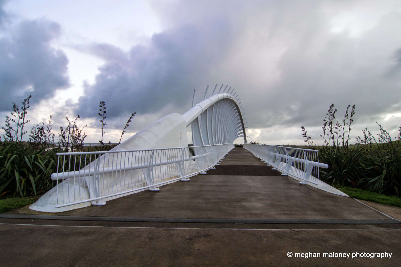 Between the showers at Lake Rotomanu, Te Rewa Rewa Bridge and the ...