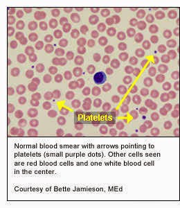 Why Do Platelets Clump? | Home Health Care
