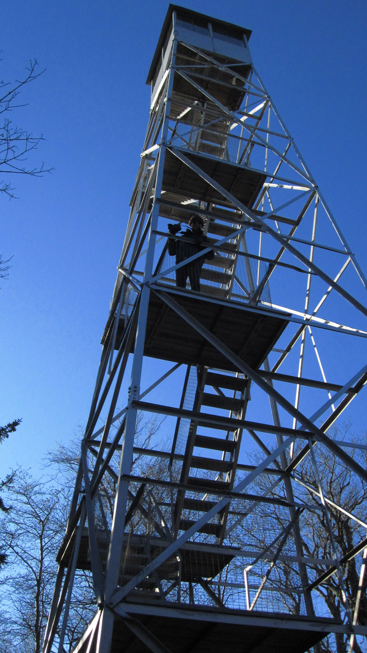 Dia * Designs *: *Red Hill Fire Tower Hike*