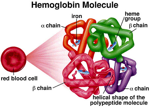 Open Curiosity: Basic Science #6: Hemoglobin