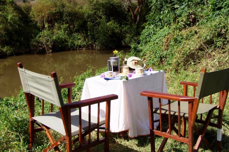 kenia: safari 2011: mögliche 'nicht-tierische' highlights: bush picnic ...