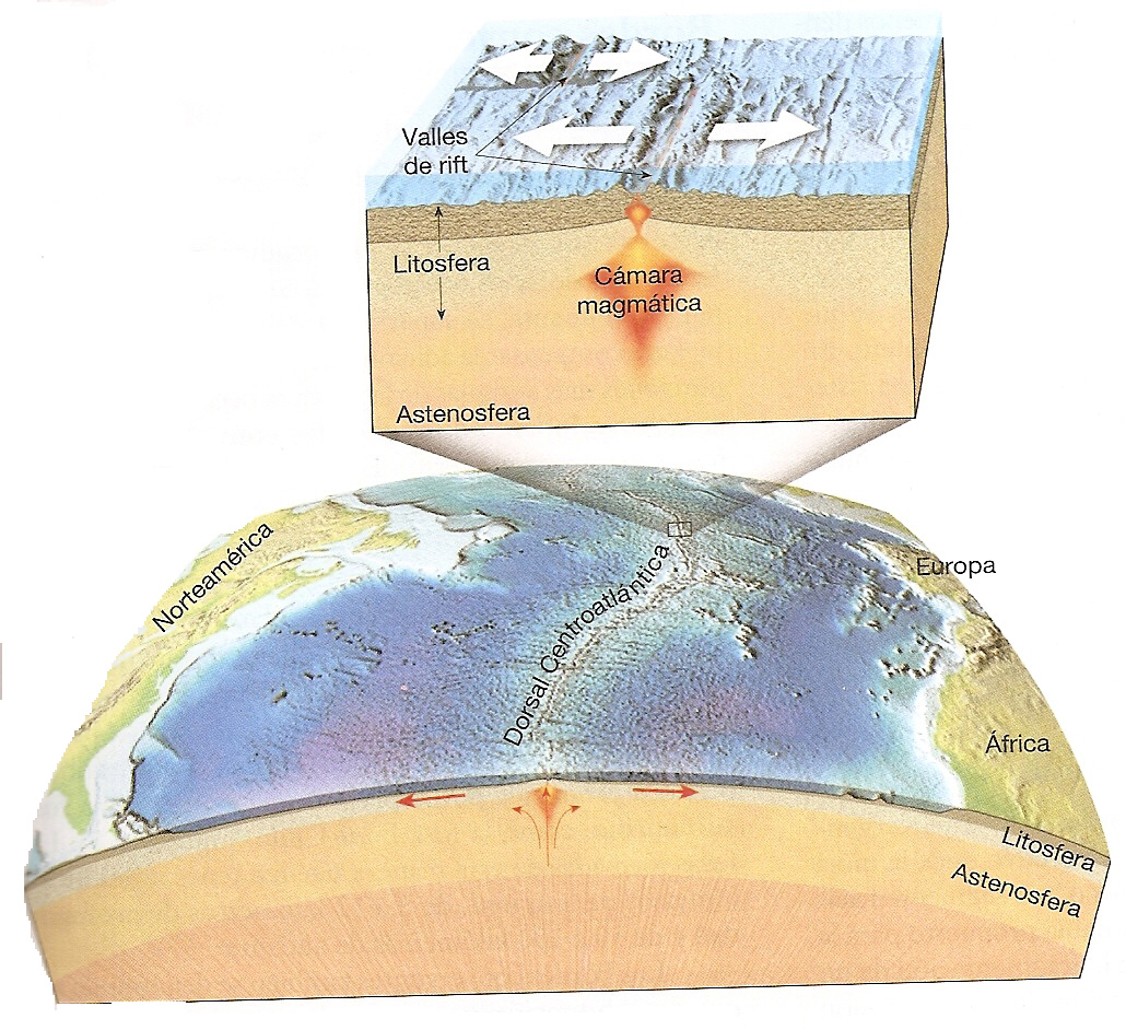 Ciencias de la Tierra (geología - geografía): El ciclo de WILSON