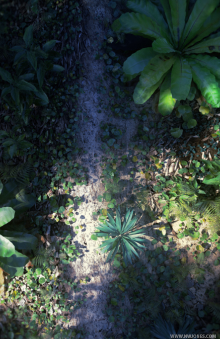 Nathan Jones - Digital Artist Blog: Forest Environment - Maya, Paint ...