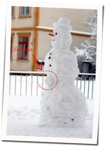 Vad vi gör här?: Välutrustad snögumma