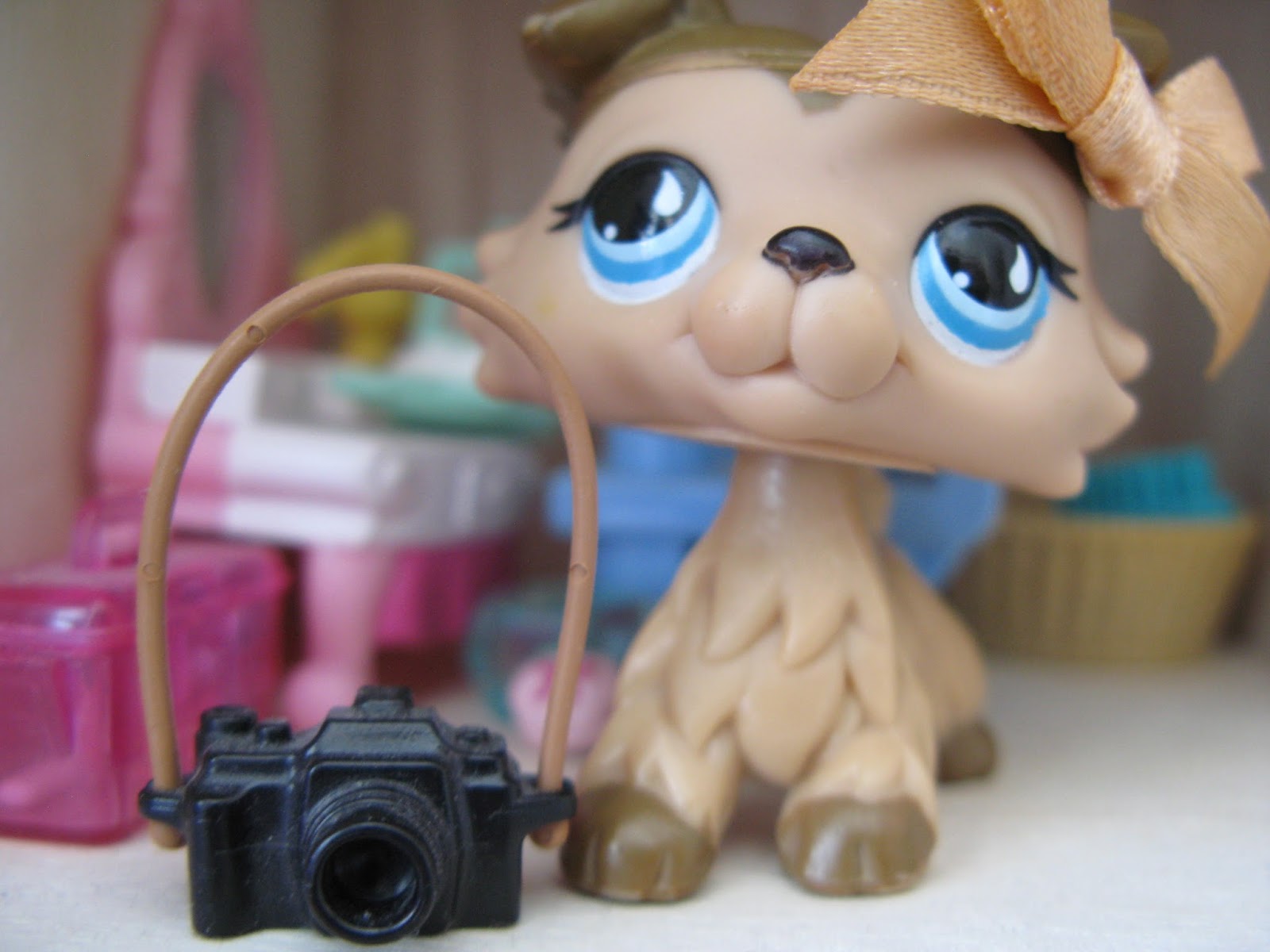 Mój świat LPS: 63. LPS: Moja ekipa LPS - cz. 2 - Collie