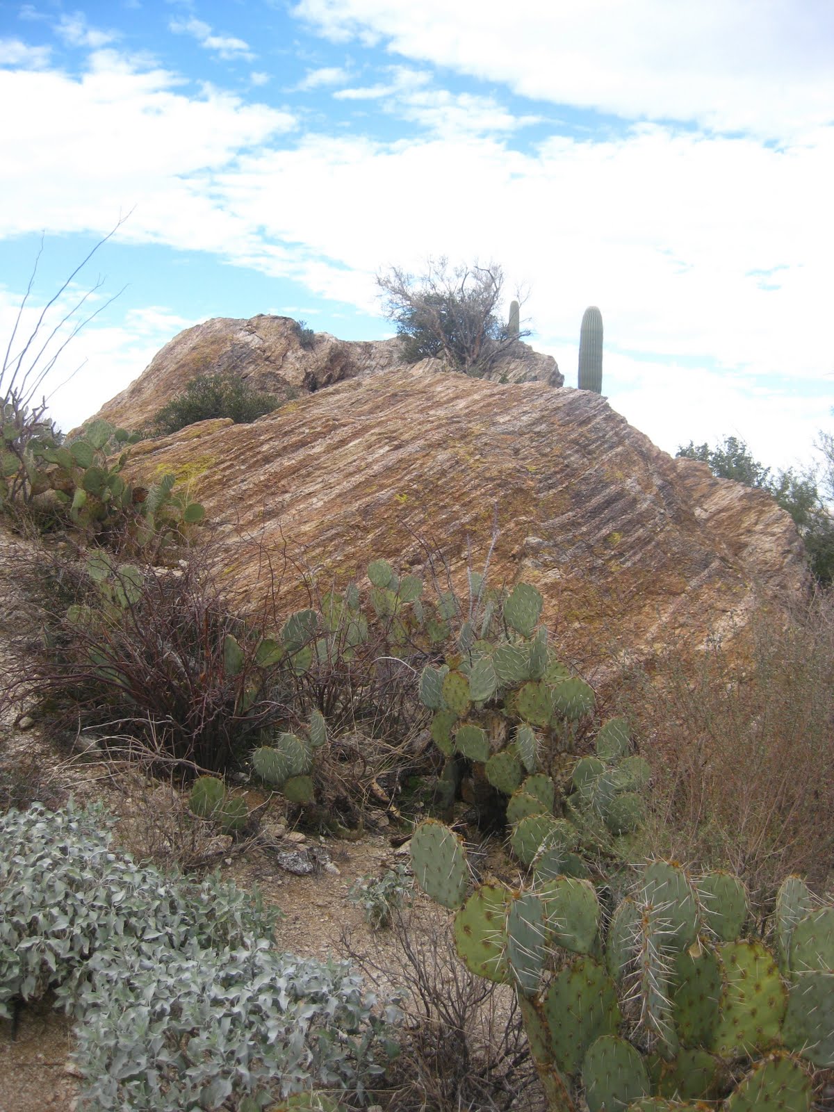 Geology Happens: Metamorphic Core Complex...while on vacation