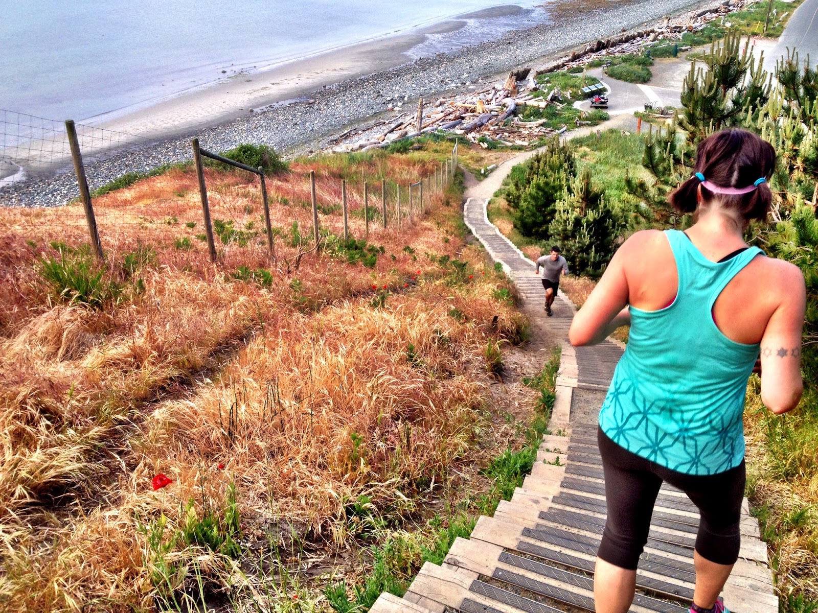 Wild Seads: Run the Stairs at Goose Spit Park