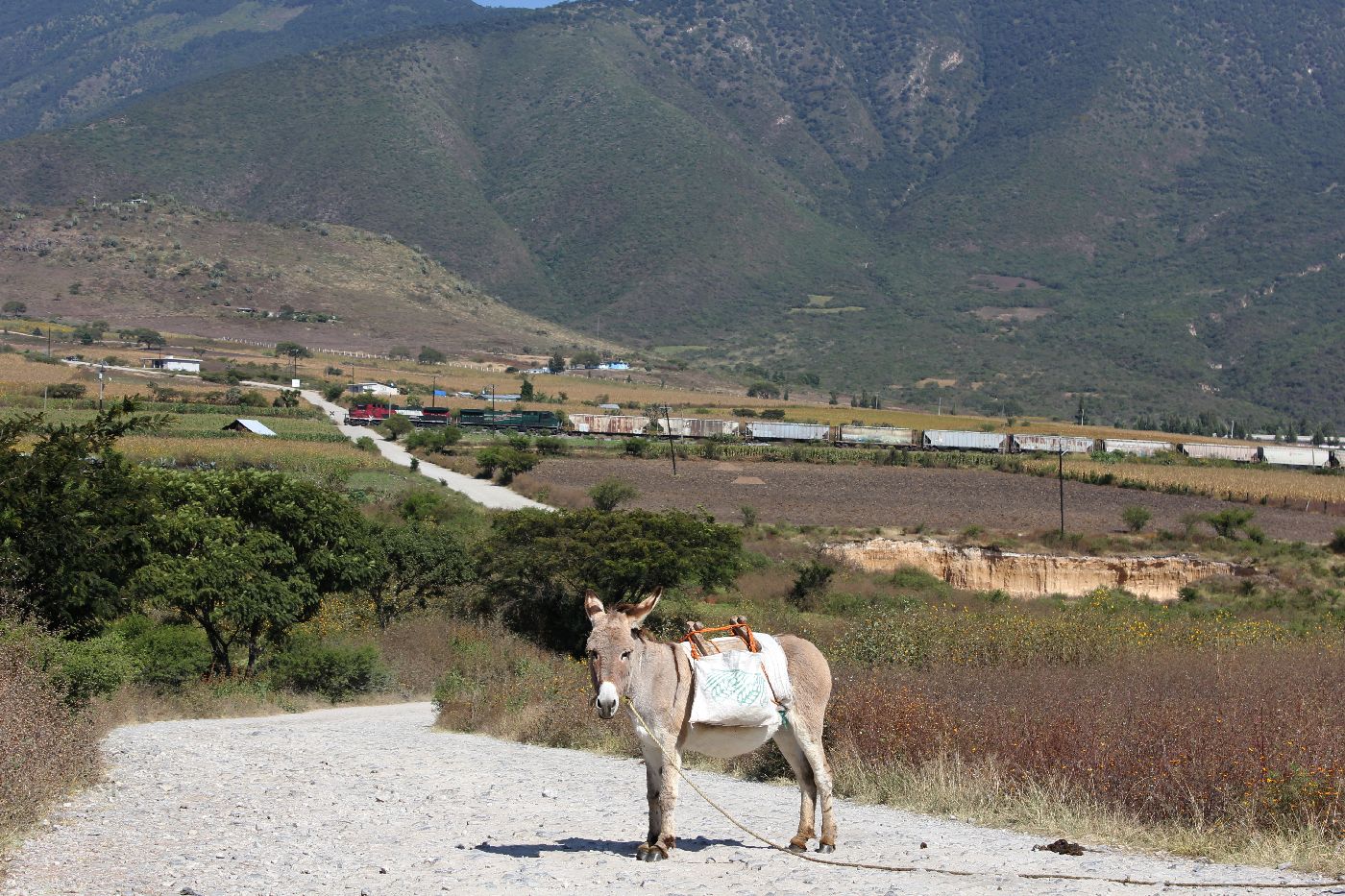 Mexican Railroads